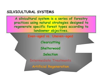 Silvicultural systems | PPT