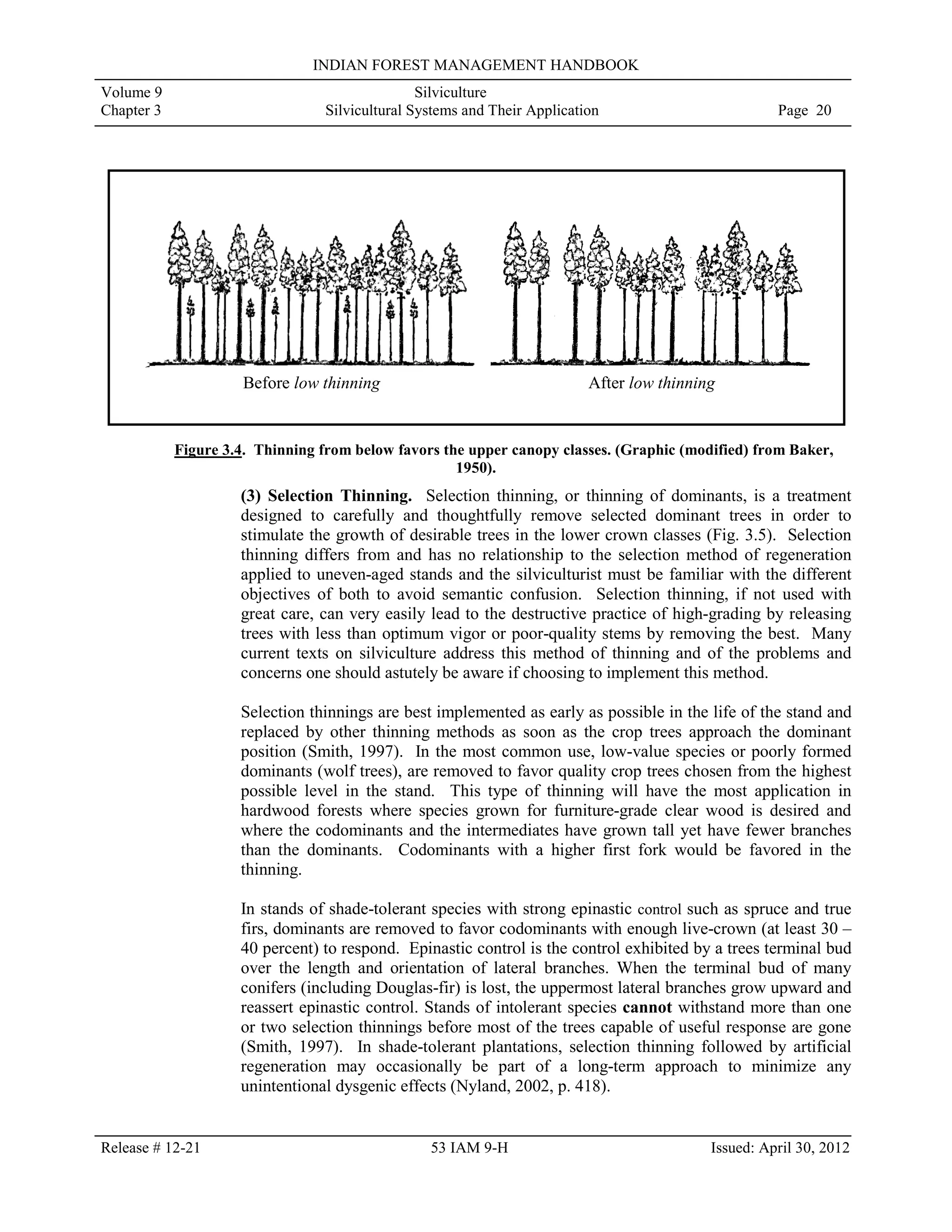 Silviculture | PDF
