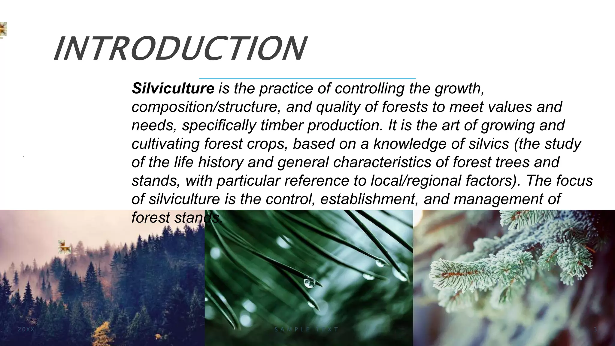 silviculture.pptx