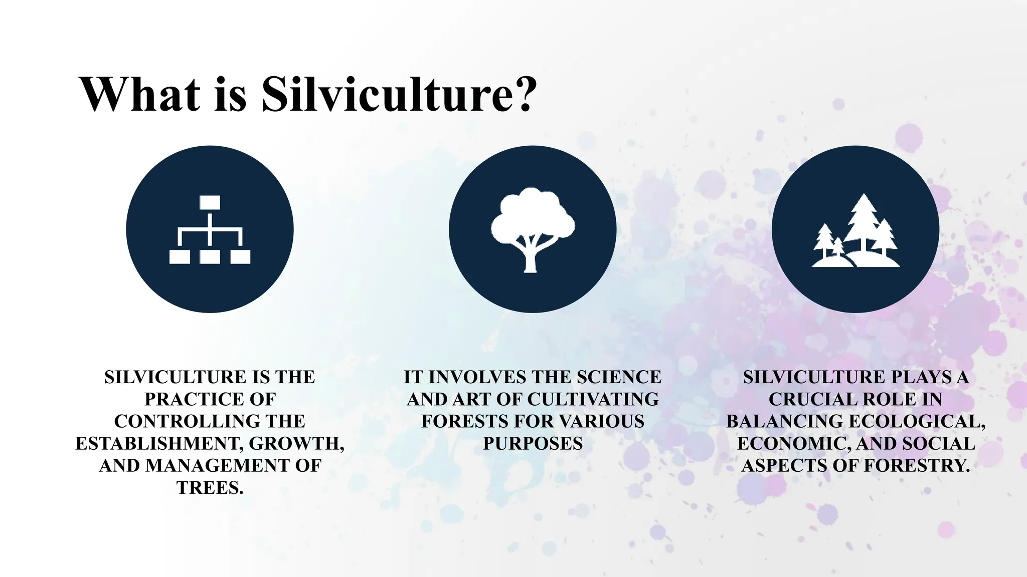 Silviculture and its verse applications | PPTX