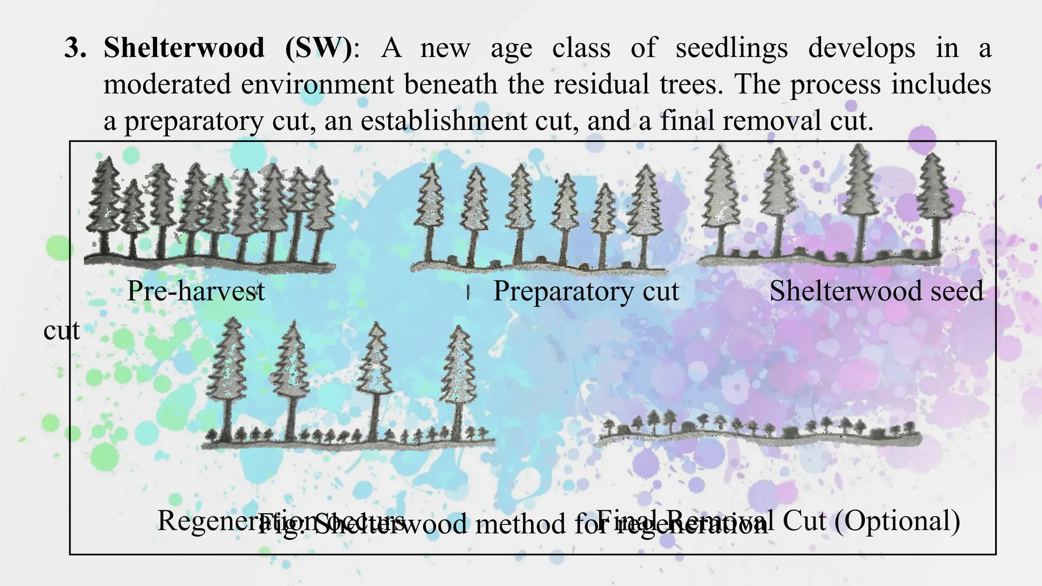 Silviculture and its verse applications | PPTX