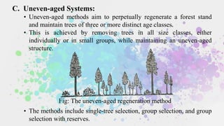 Silviculture and its verse applications | PPTX