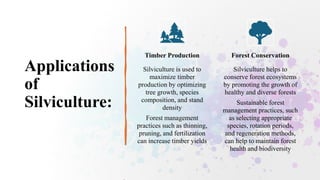 Silviculture and its verse applications | PPTX