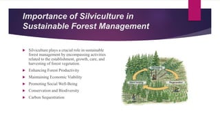 SILVICULTURE IN AUSTRALIA- PRESENTATION.pptx