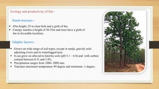Silviculture of sal tree | PPTX