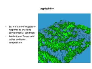 Forest Gap Models- Silviculture | PPTX