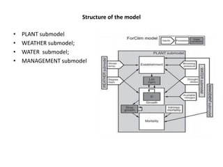 Forest Gap Models- Silviculture | PPTX