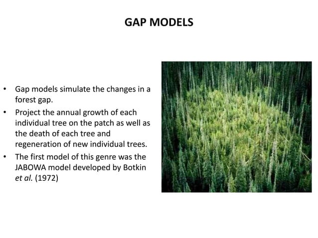 Forest Gap Models- Silviculture | PPTX | Science