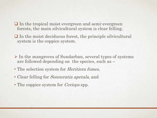 Silviculture practiced in mangrove forests of Bangladesh | PPTX