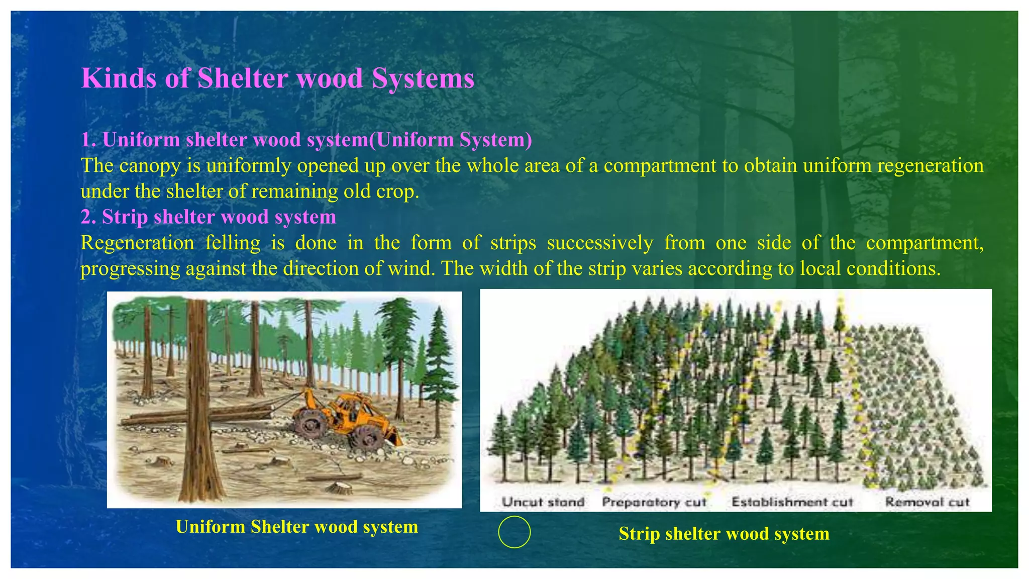 Silviculture system FOR201 | PPTX