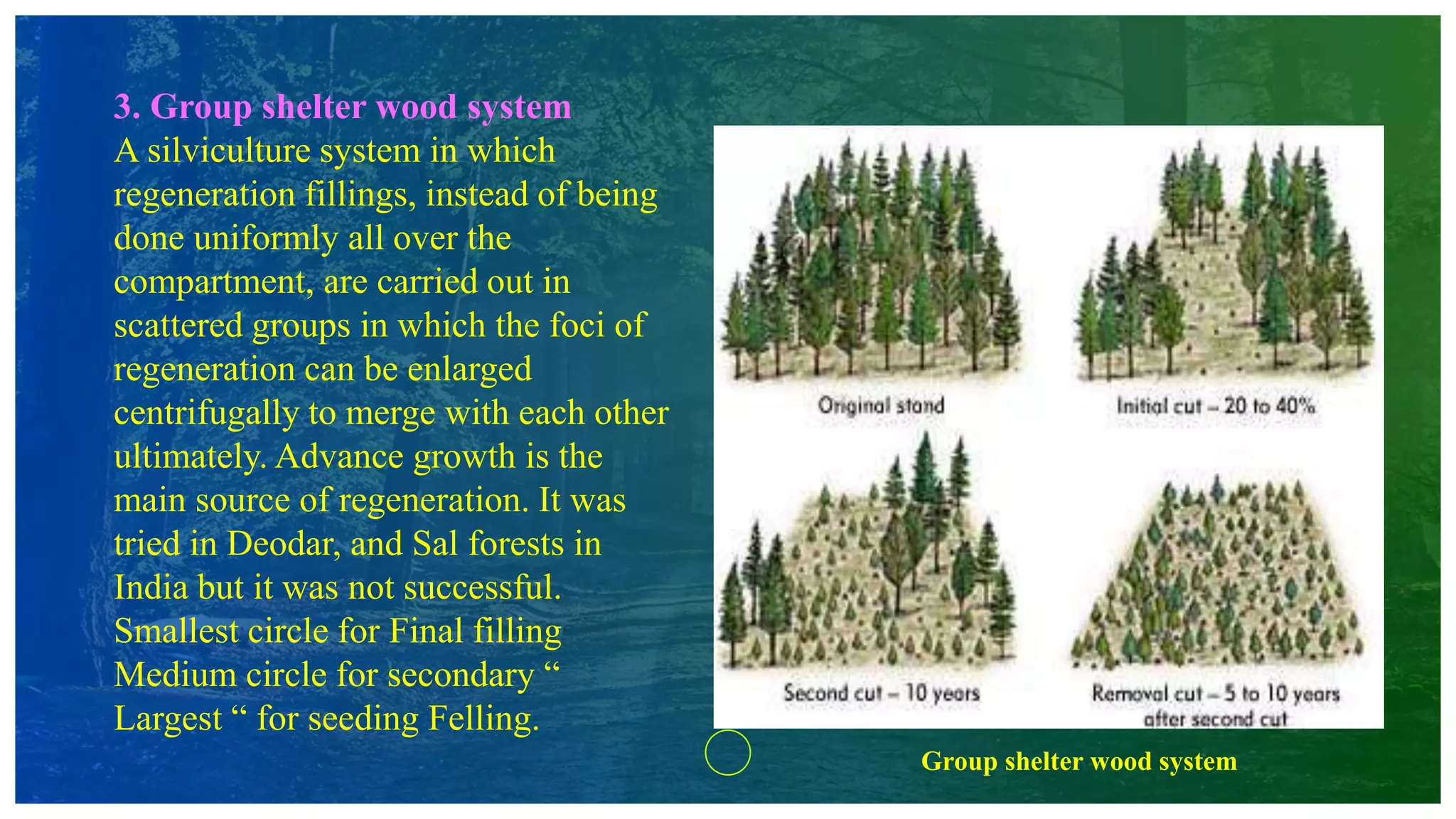 Silviculture system FOR201 | PPTX