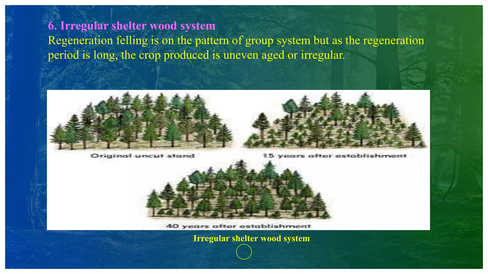 Silviculture system FOR201 | PPTX