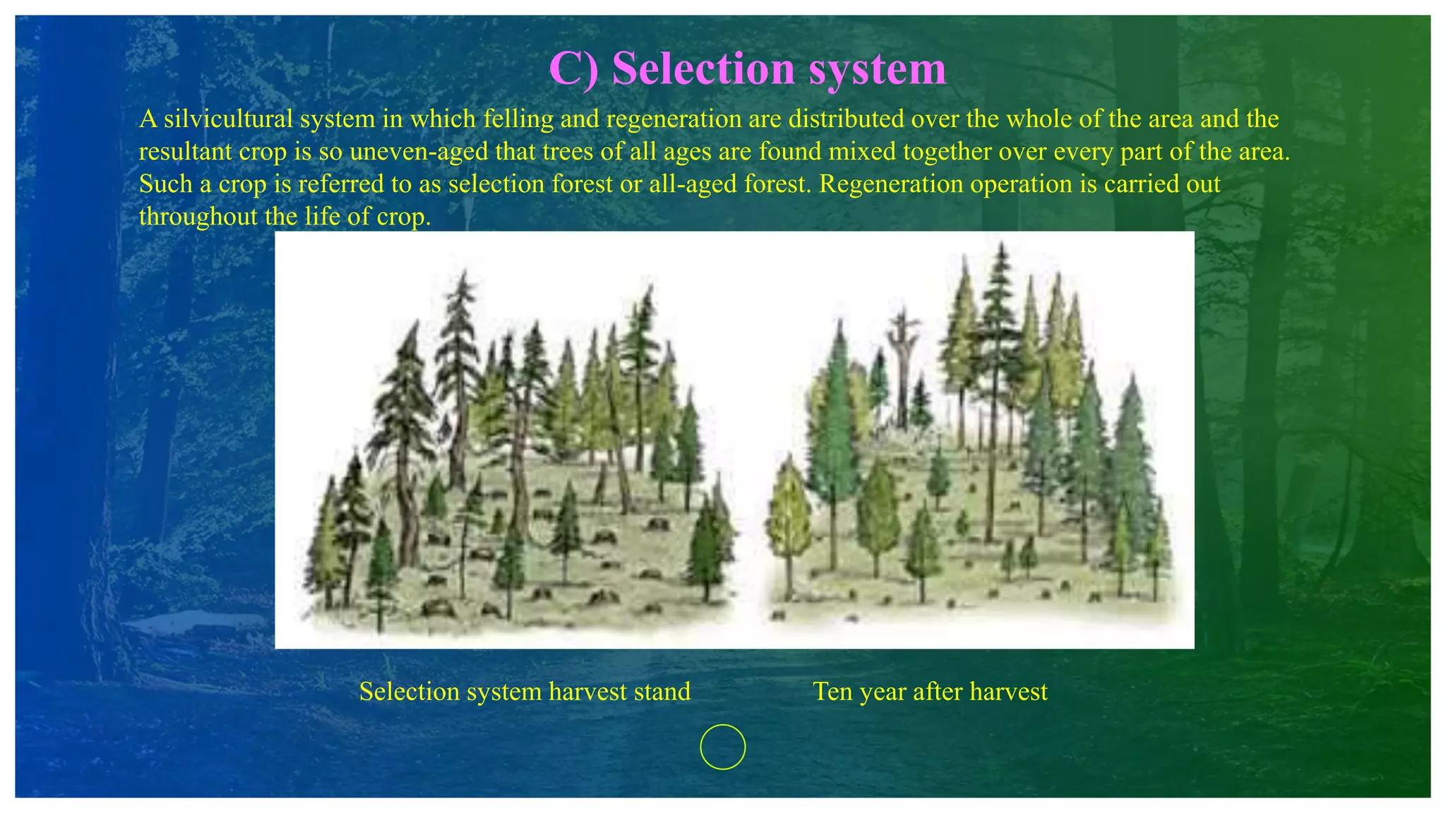 Silviculture system FOR201 | PPTX
