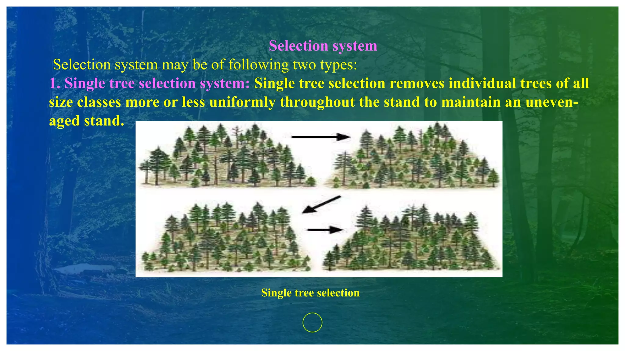 Silviculture system FOR201 | PPTX