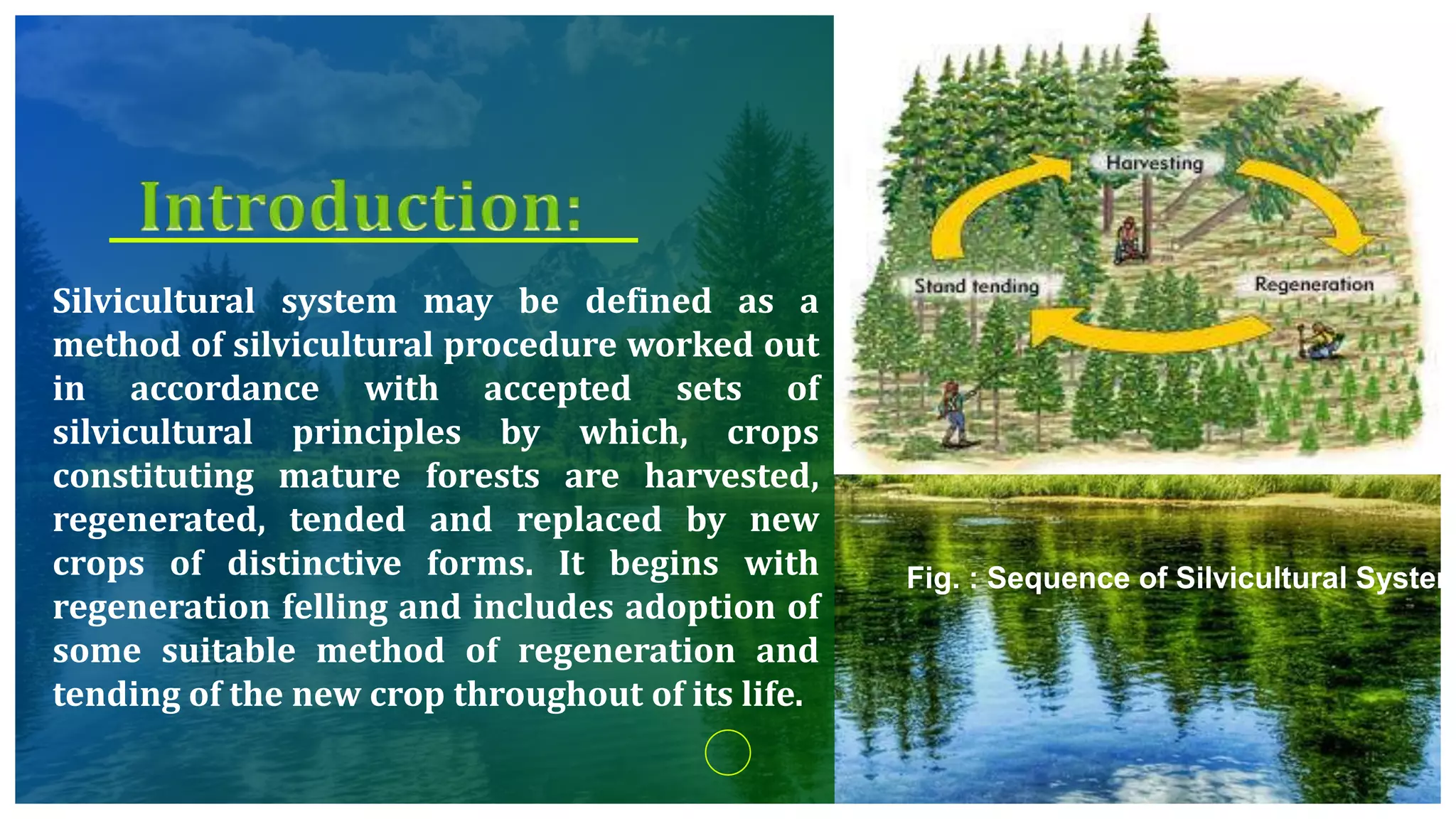 Silviculture system FOR201 | PPTX