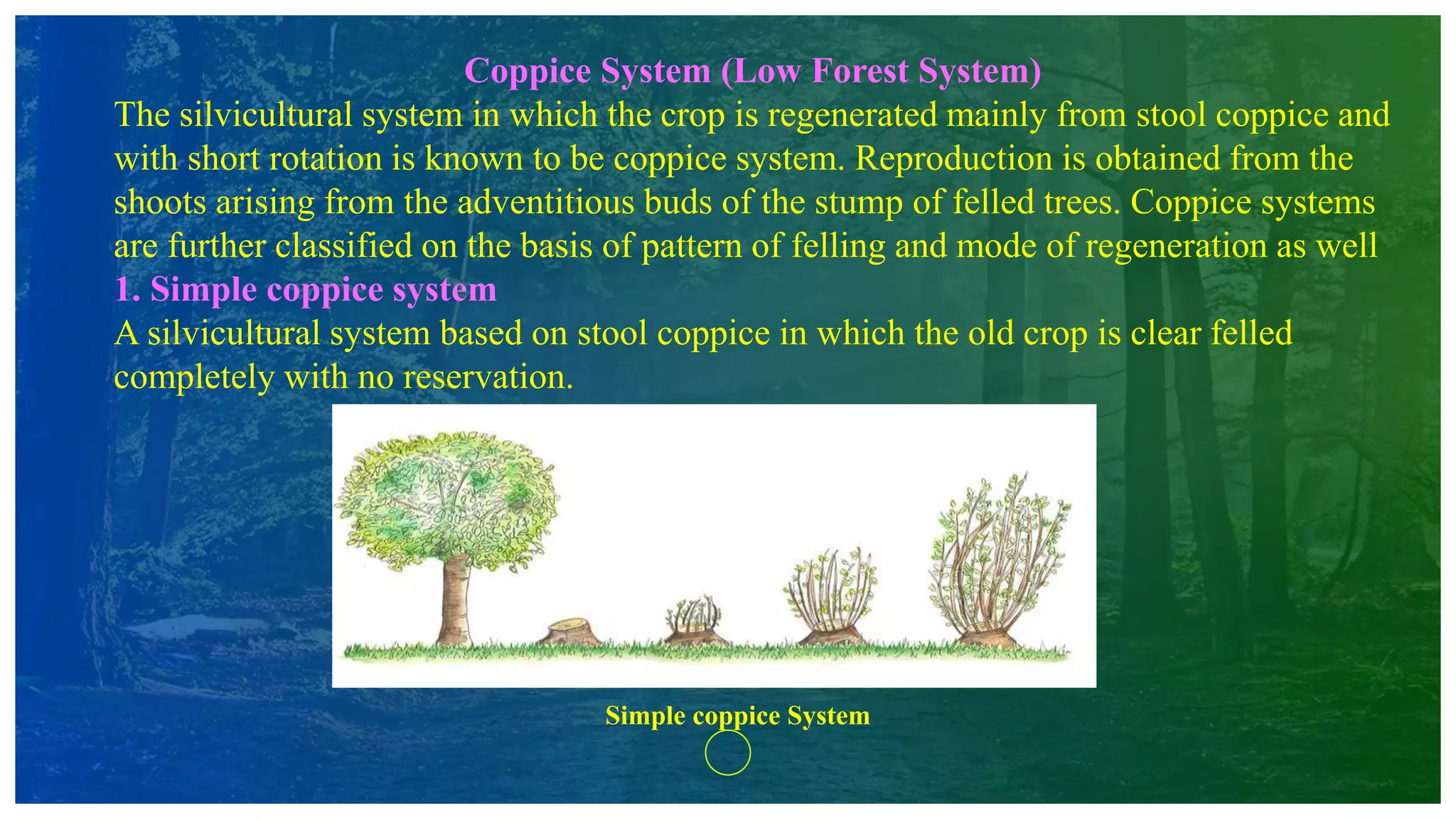 Silviculture system FOR201 | PPTX