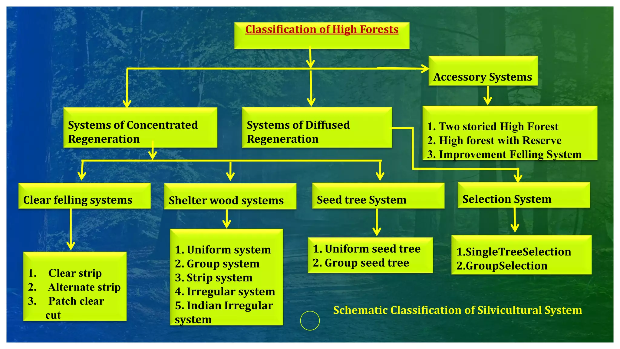 Silviculture system FOR201 | PPTX