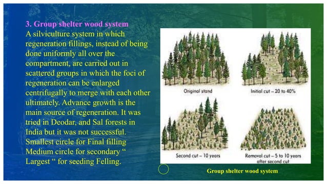 Silviculture system FOR201 | PPTX | Gardening | Home & Garden