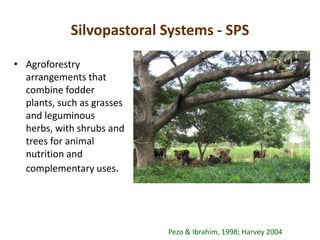 Silvopastoral systems to promote forest protection in Colombia | PPTX