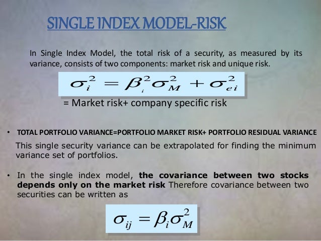 Single index model