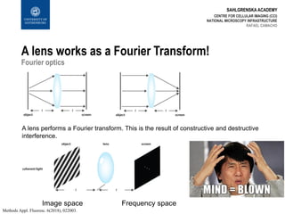 Structured Illumination Microscopy - Fundamentals and Applications | PDF