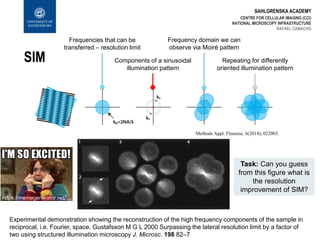 Structured Illumination Microscopy - Fundamentals and Applications | PDF