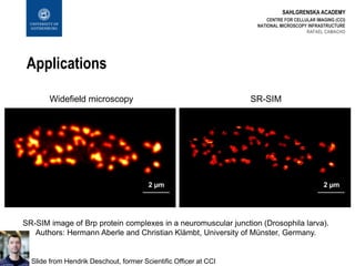 Structured Illumination Microscopy - Fundamentals and Applications | PDF