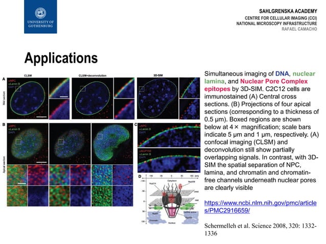 Structured Illumination Microscopy - Fundamentals and Applications | PDF | Photography | Arts ...