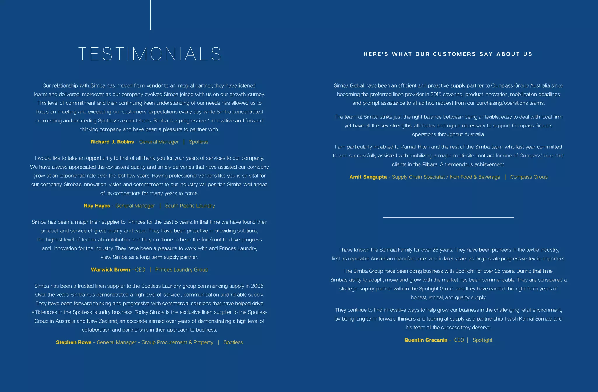 Simba Global Vision Book | PDF