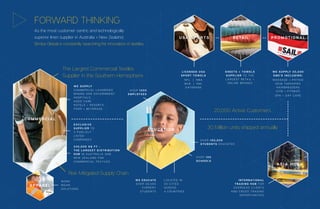 Simba Global Vision Book | PDF