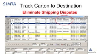 Simba overview | PPT | Logistics | Business