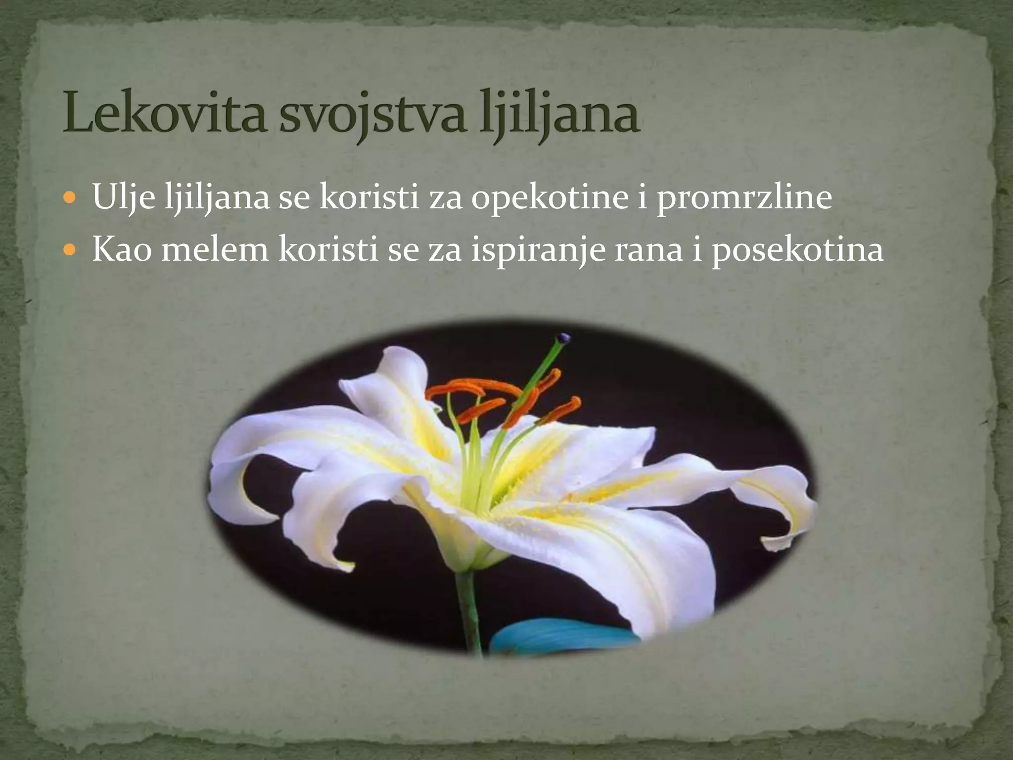 Simbolika biljaka | PPTX