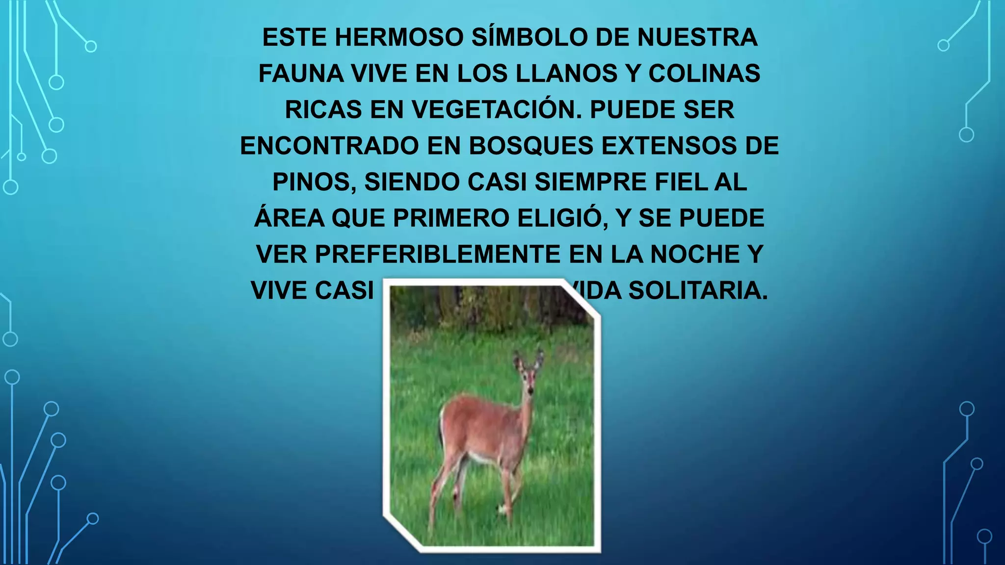 Simbolos menores de Honduras | PPSX