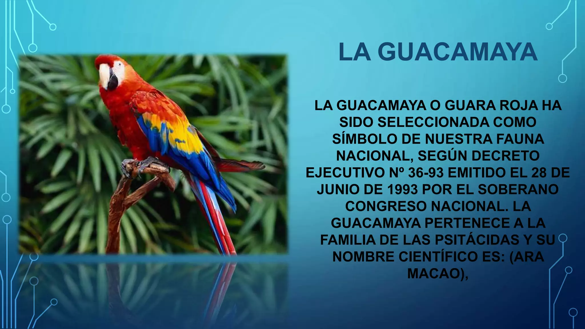 Simbolos menores de Honduras | PPSX
