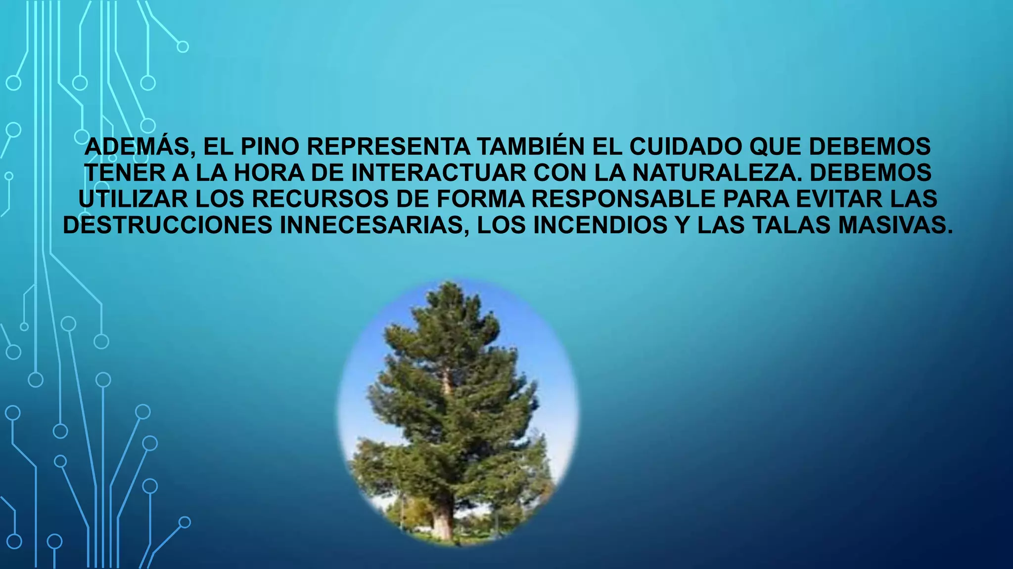 Simbolos menores de Honduras | PPSX