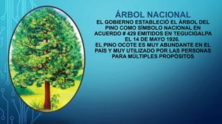 Simbolos menores de Honduras | PPSX
