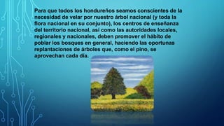 Simbolos menores de Honduras | PPSX