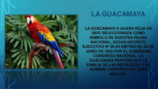 Simbolos menores de Honduras