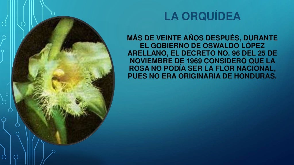 Simbolos menores de Honduras