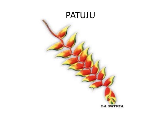 Simbolos patrios bolivia