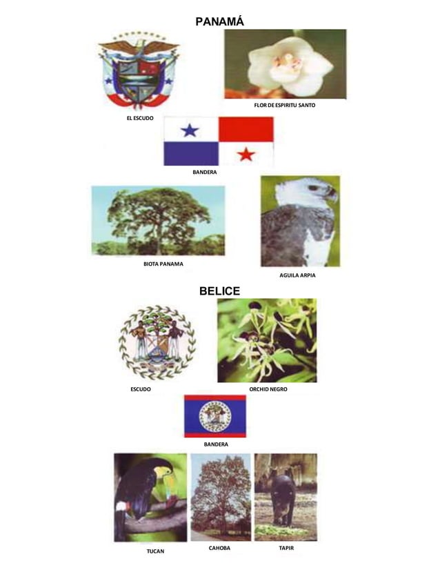 Simbolos Patrios De Centro America Pdf