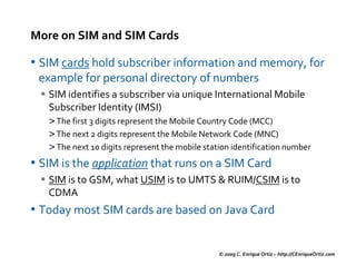 SIM Card Overview | PDF | Internet | Computing