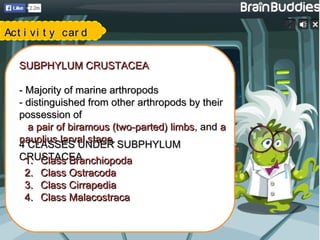 SIM: Subphylum Crustacea | PPT