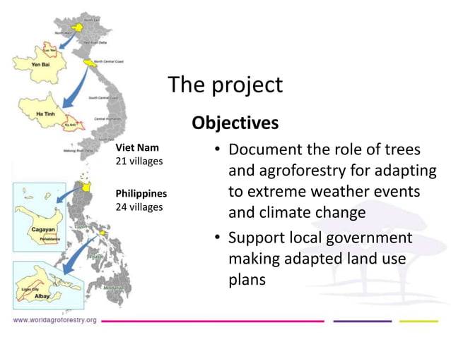 Simelton talking toolkit | PPT