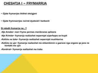 Simestral Maggie Vasha Klasa IX shkolla "Albanet" | PPTX