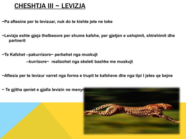 Simestral Maggie Vasha Klasa IX shkolla "Albanet" | PPT