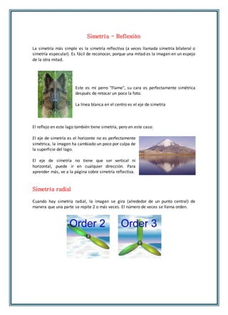 Simetría | DOCX