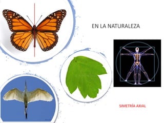 Simetria | PPTX