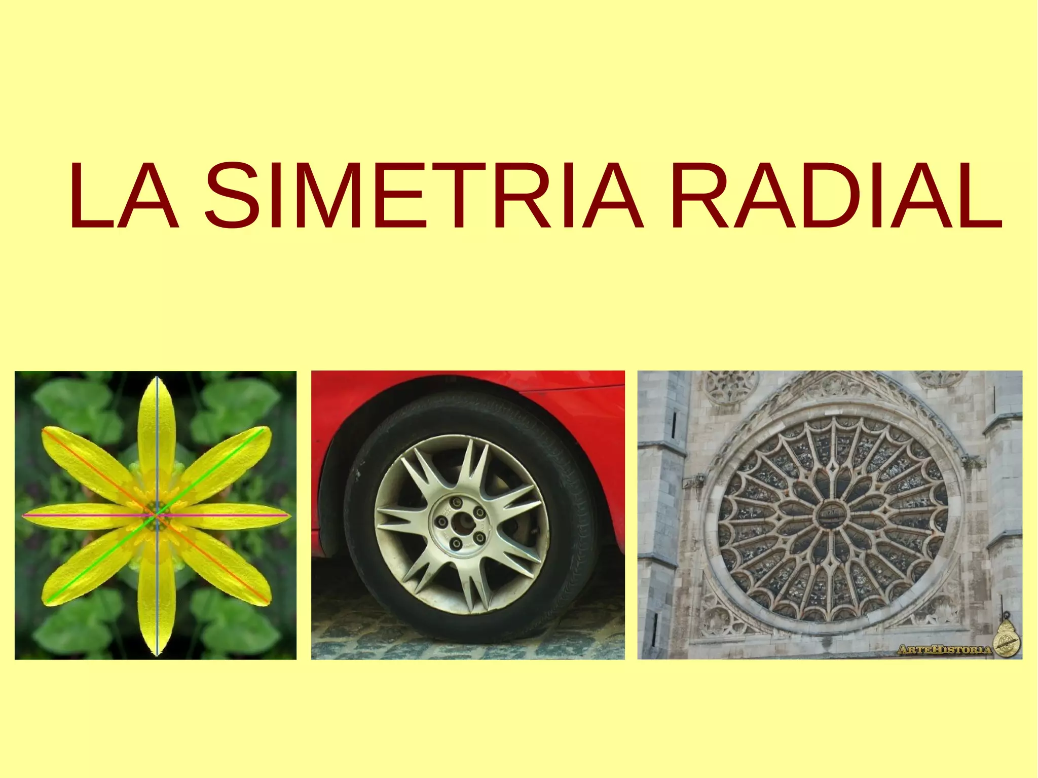 Simetria radial | PPT