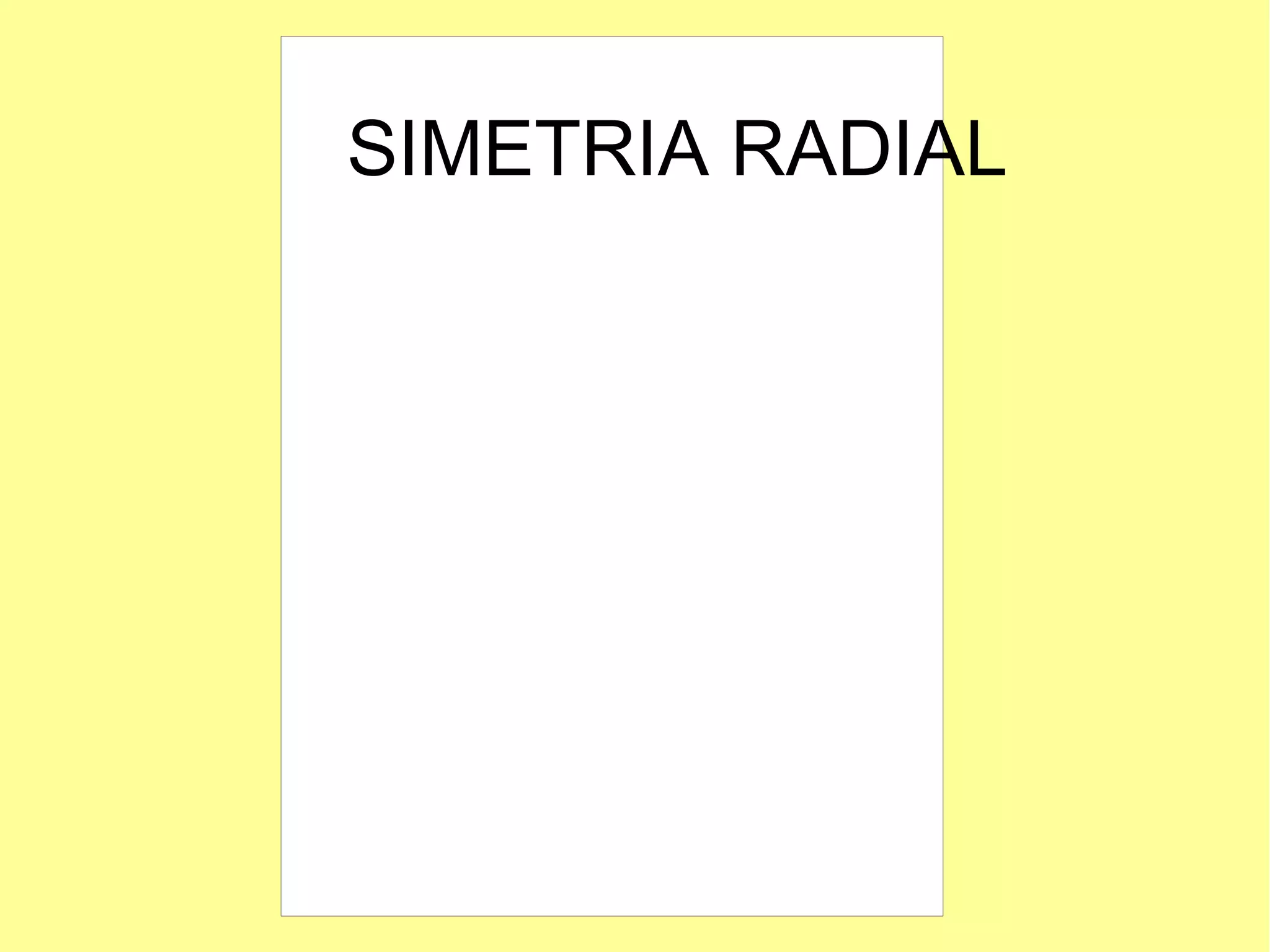 Simetria radial | PPT